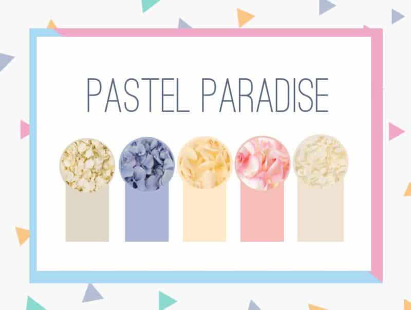 THE ULTIMATE GUIDE TO CREATING THE PERFECT NATURAL CONFETTI COLOUR ...