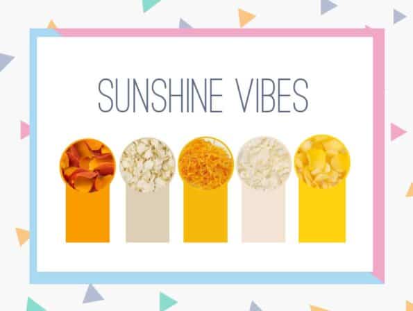 THE ULTIMATE GUIDE TO CREATING THE PERFECT NATURAL CONFETTI COLOUR ...