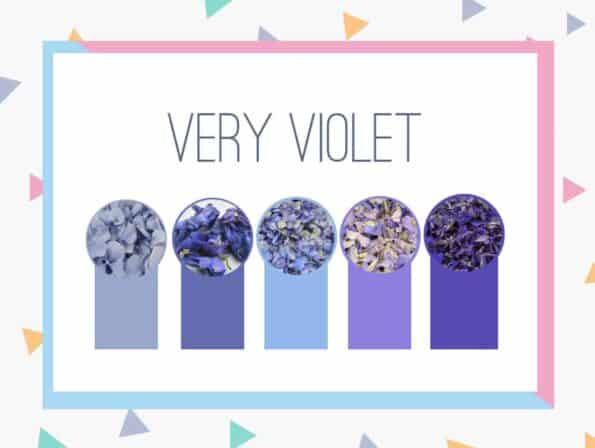 THE ULTIMATE GUIDE TO CREATING THE PERFECT NATURAL CONFETTI COLOUR ...