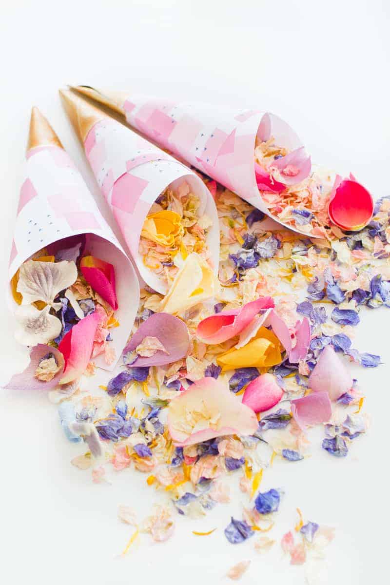 FREE PRINTABLE ABSTRACT CONFETTI CONES WITH SHROPSHIRE PETALS PINK AND ...