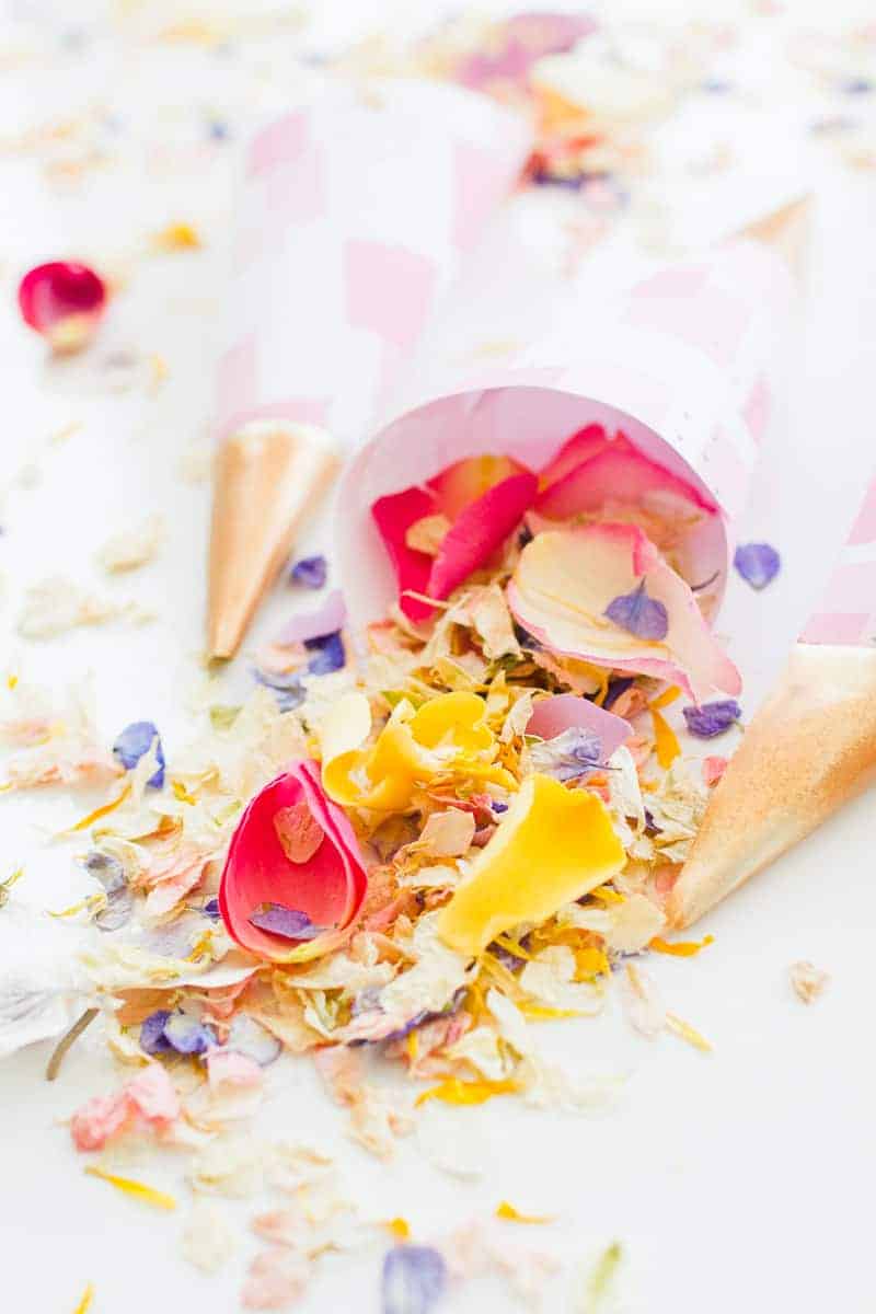 FREE PRINTABLE ABSTRACT CONFETTI CONES WITH SHROPSHIRE PETALS PINK AND ...