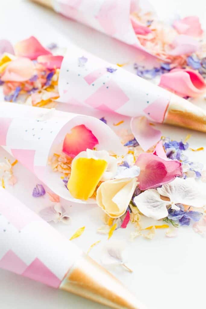 FREE PRINTABLE ABSTRACT CONFETTI CONES WITH SHROPSHIRE PETALS PINK AND ...