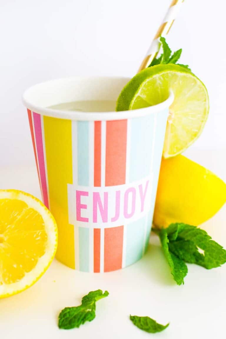 RAINBOW PRINTABLE CUP WRAPPERS FOR BACHELORETTE PARTY BRIDAL SHOWER HEN ...