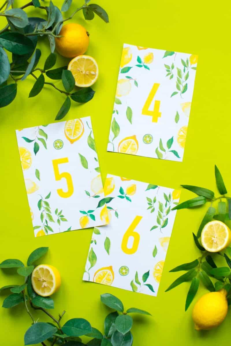 FREE PRINTABLE WEDDING TABLE NUMBERS LEMON THEMED SPRING GREENERY ...