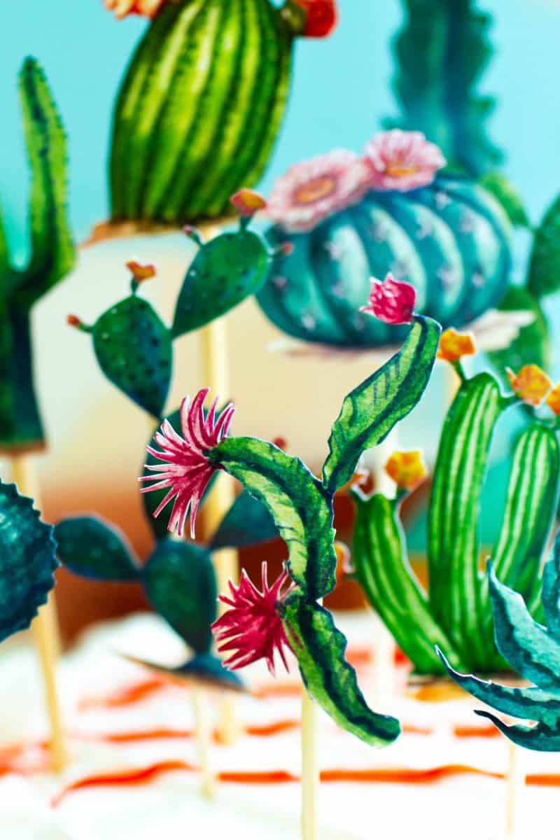 CACTUS CAKE TOPPERS FOR A DESERT BOHO THEMED WEDDING BACHELORETTE OR ...