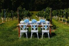 Elegant Charm: A Stunning Southern Wedding Styled Shoot at DuGaren Venues and Vineyards in ...